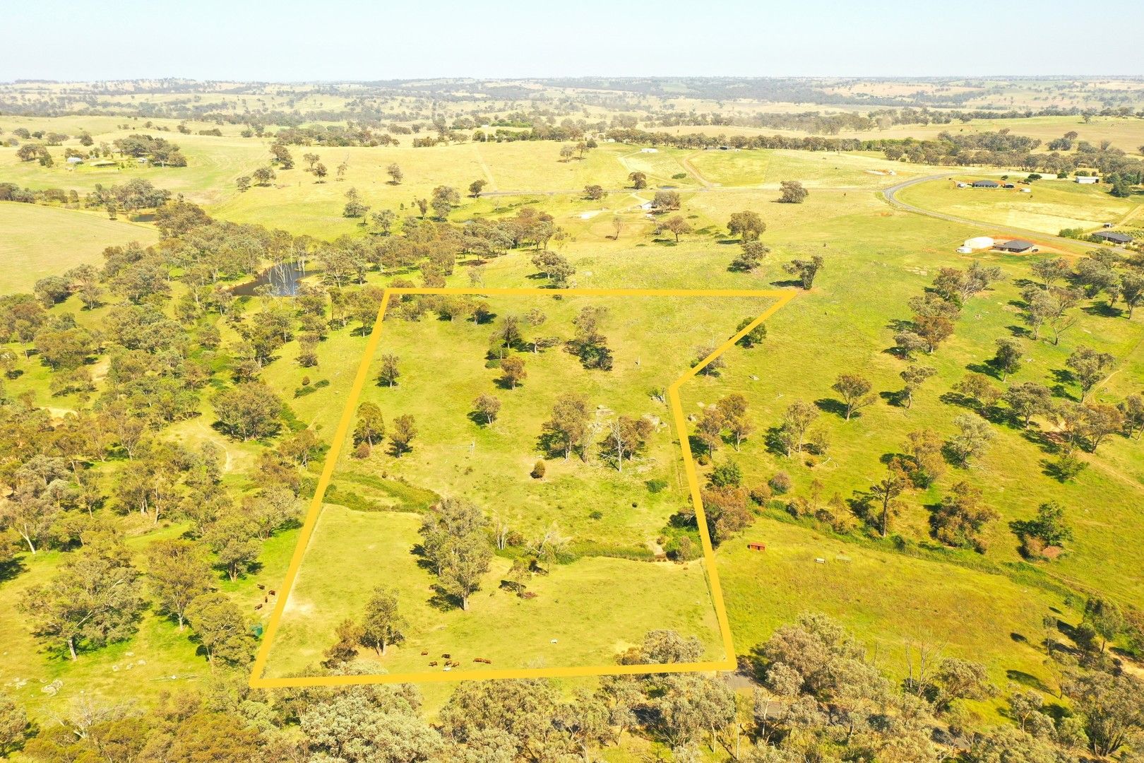 224 Spring Creek Rd, Young NSW 2594 | Domain