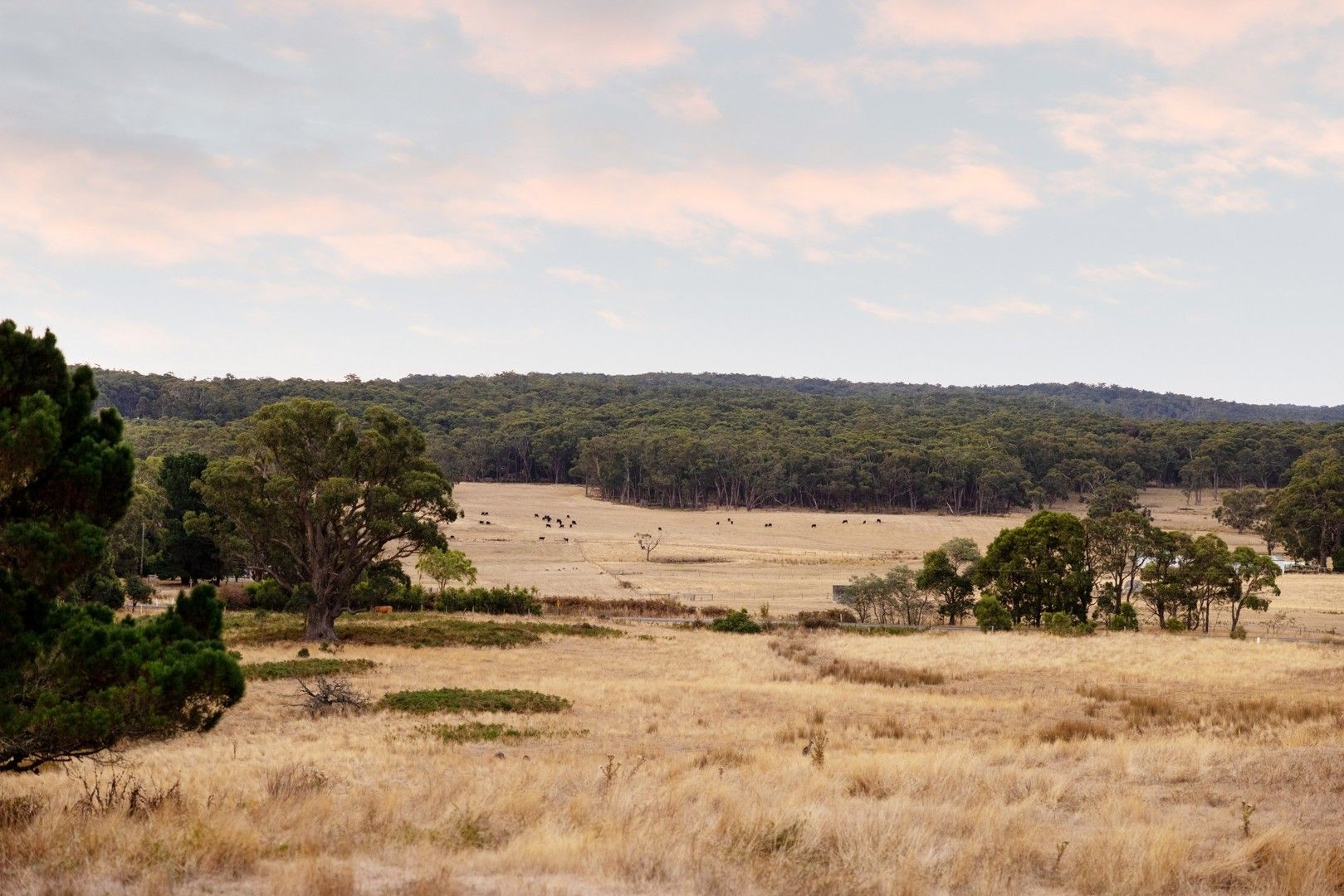 Lot 1/641 Burke And Wills Track, Benloch VIC 3435 | Domain