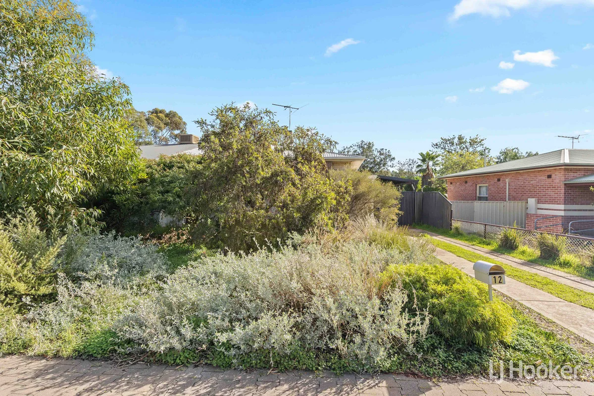 12 Guerin Road, Elizabeth Vale SA 5112 | Domain