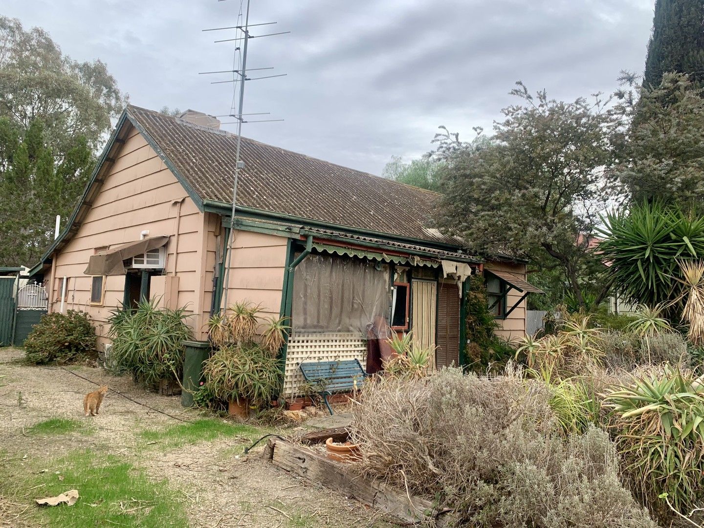 73 Railway Terrace West, Snowtown SA 5520 | Domain