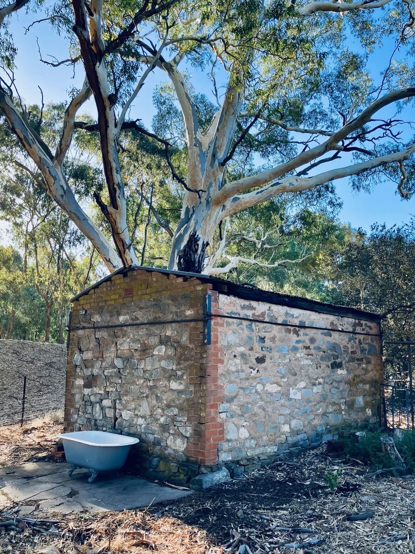 2 Jenner Road, Sevenhill SA 5453 - Vacant Land for Sale | Domain