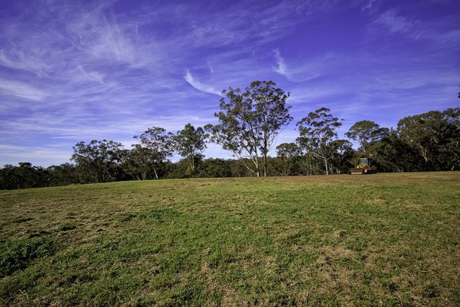 289 Real Estate Properties for Sale in Razorback, NSW, 2571 | Domain