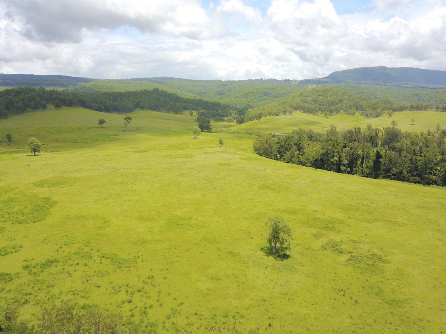 Sold in Bonalbo NSW 2469 on 18 Jun 2020 - 2014190017 | Domain