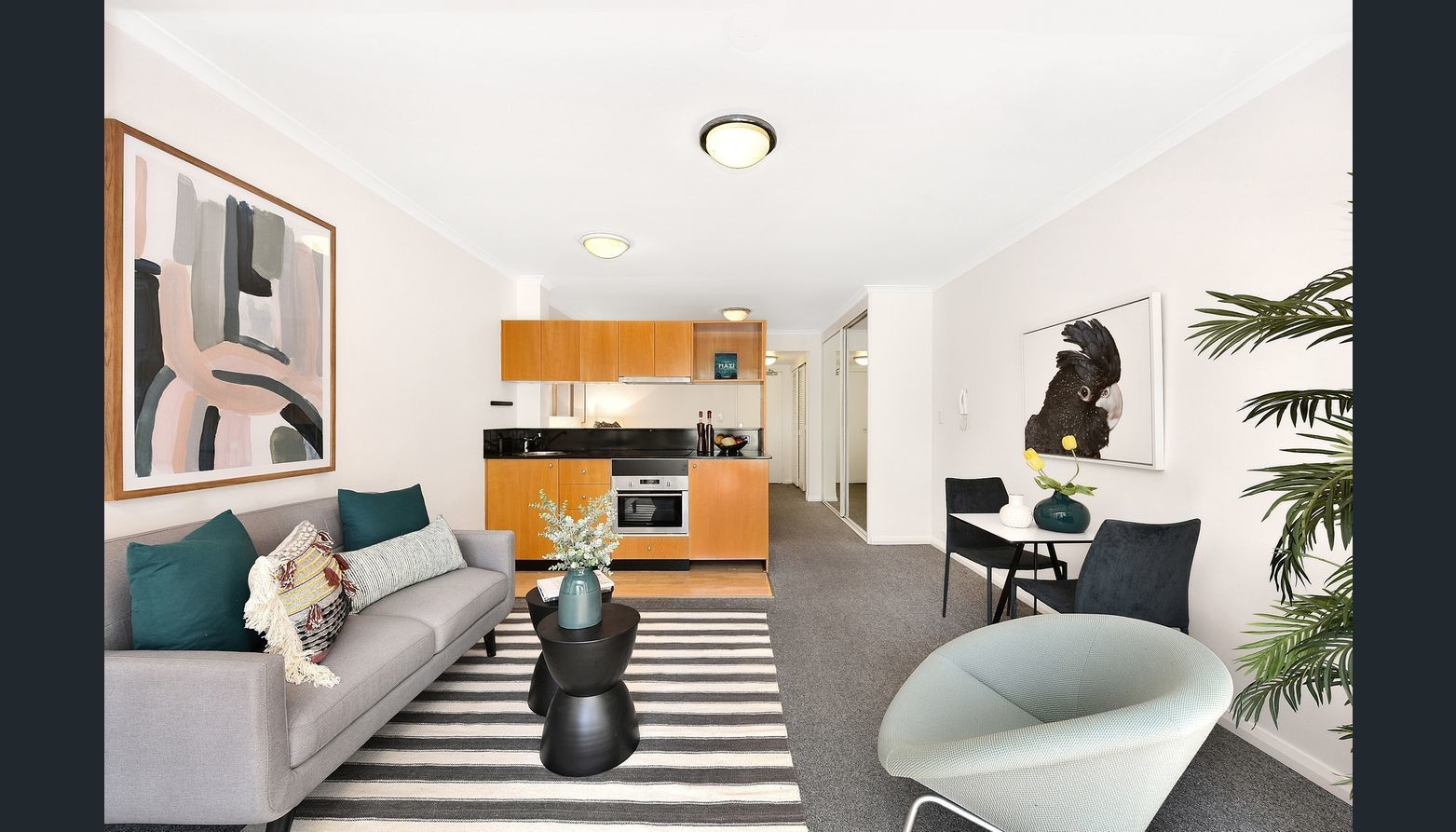 315/508 Riley Street, Surry Hills NSW 2010 - Studio For Rent | Domain