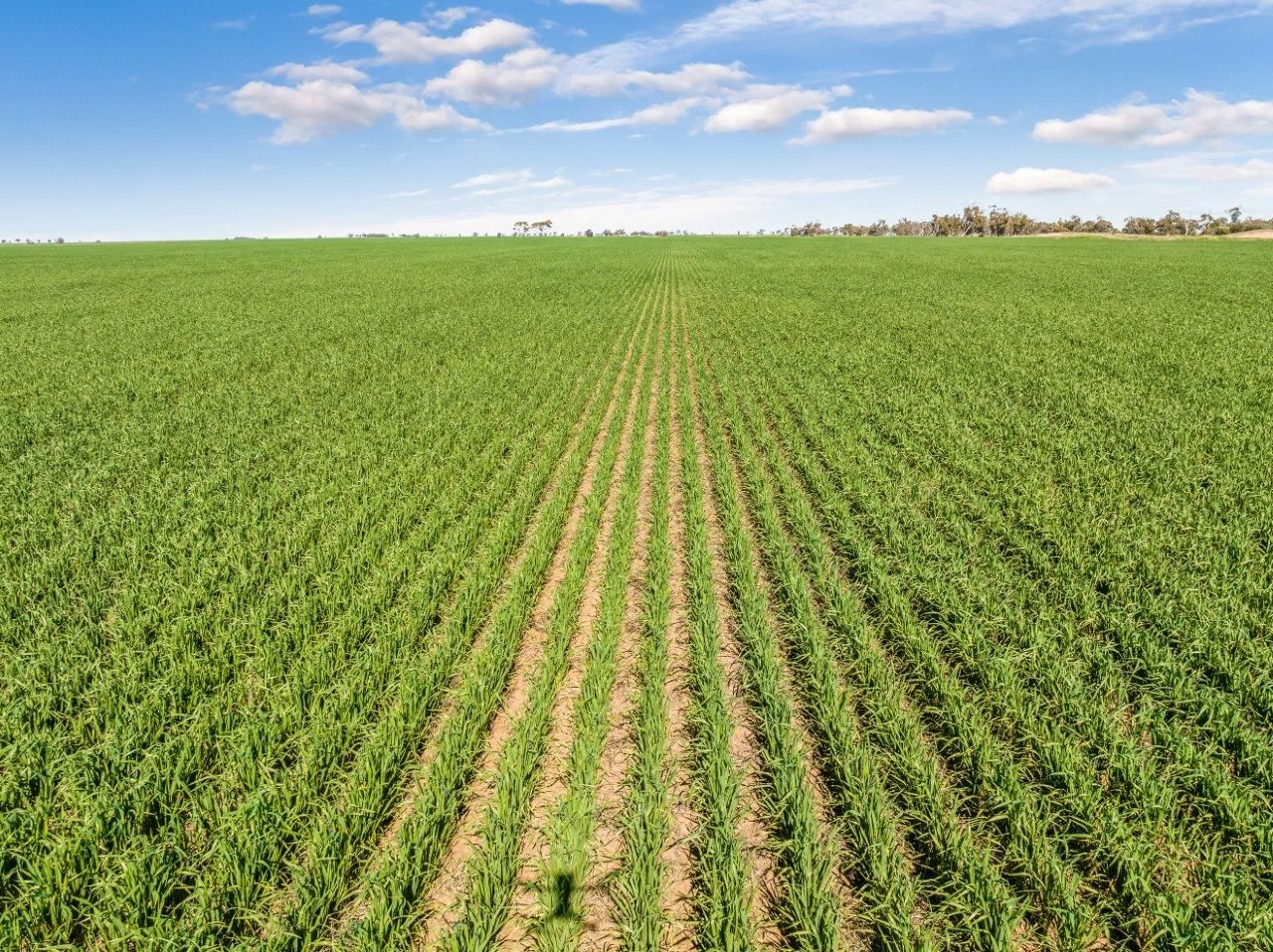 325 Meering West Road, Meering West VIC 3579 - House for Sale ...