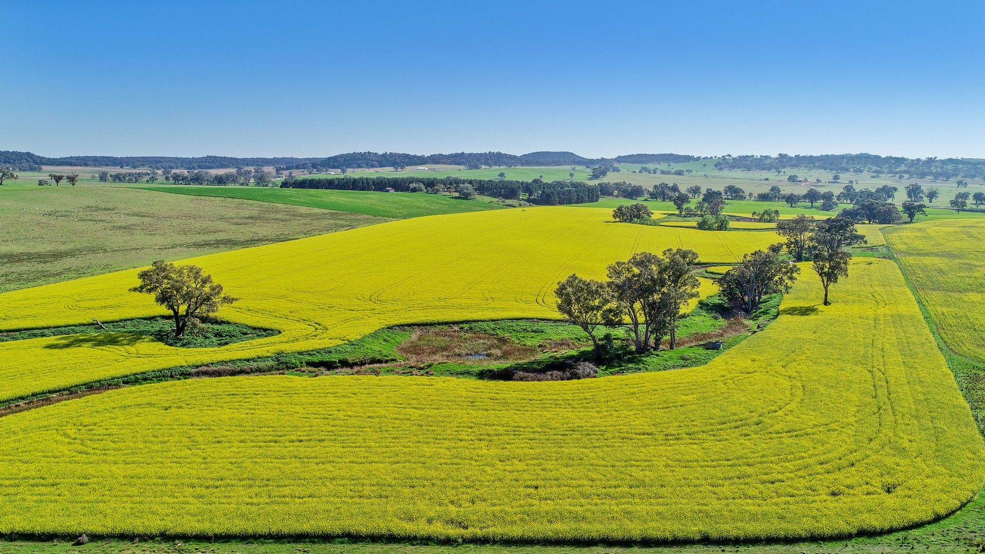 565 Gollan Road, Goolma NSW 2852 - Farm for Sale - $1,900,000