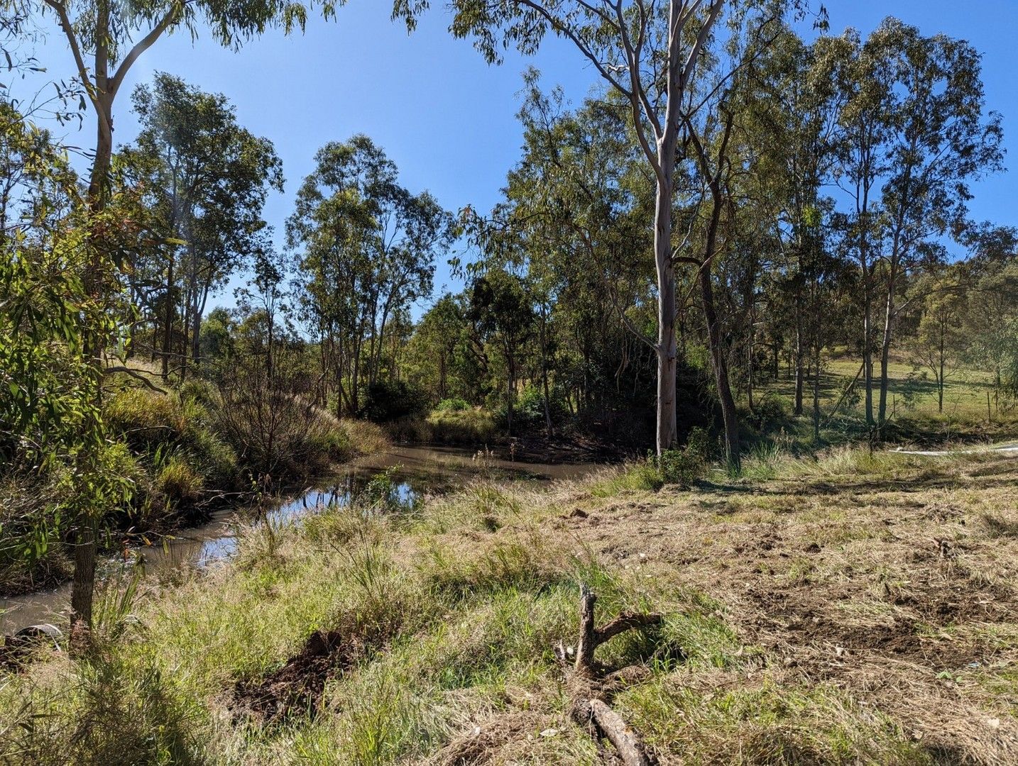 216 Stretton Drive, Teelah QLD 4314 - House for Sale | Domain
