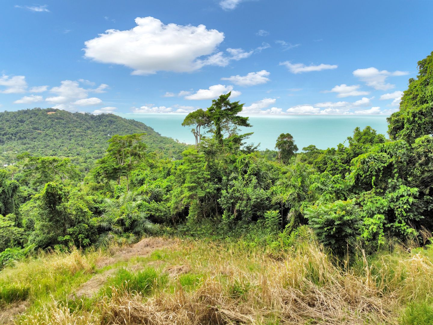 8 Bicton Cl, Bingil Bay QLD 4852 | Domain