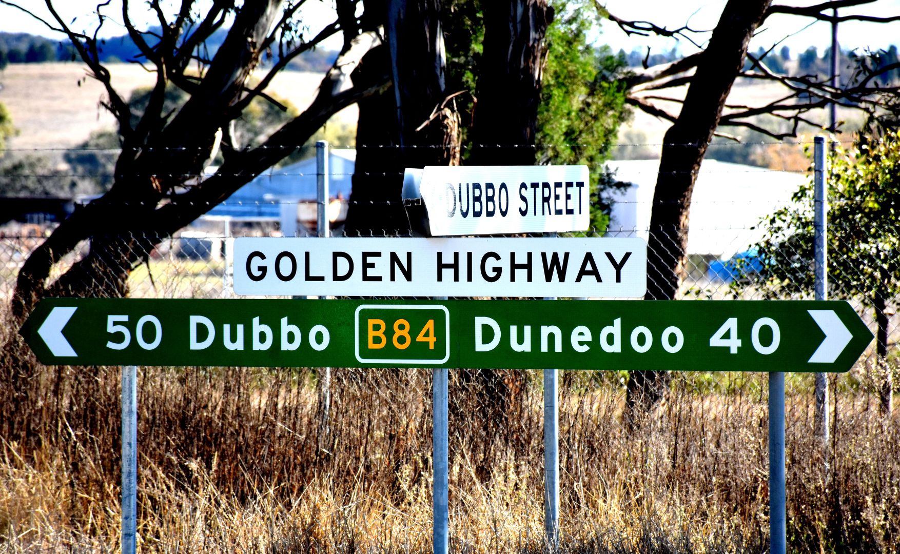 13 Dubbo Street, Elong Elong | Property History & Address Research | Domain