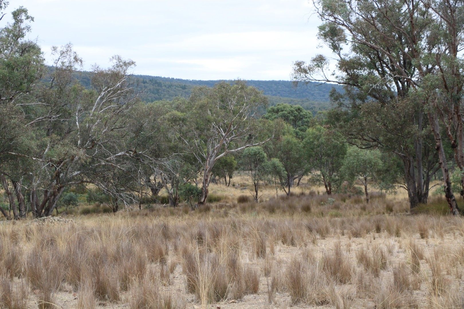 Lake Endeavour Road, Parkes NSW 2870 - House for Sale | Domain