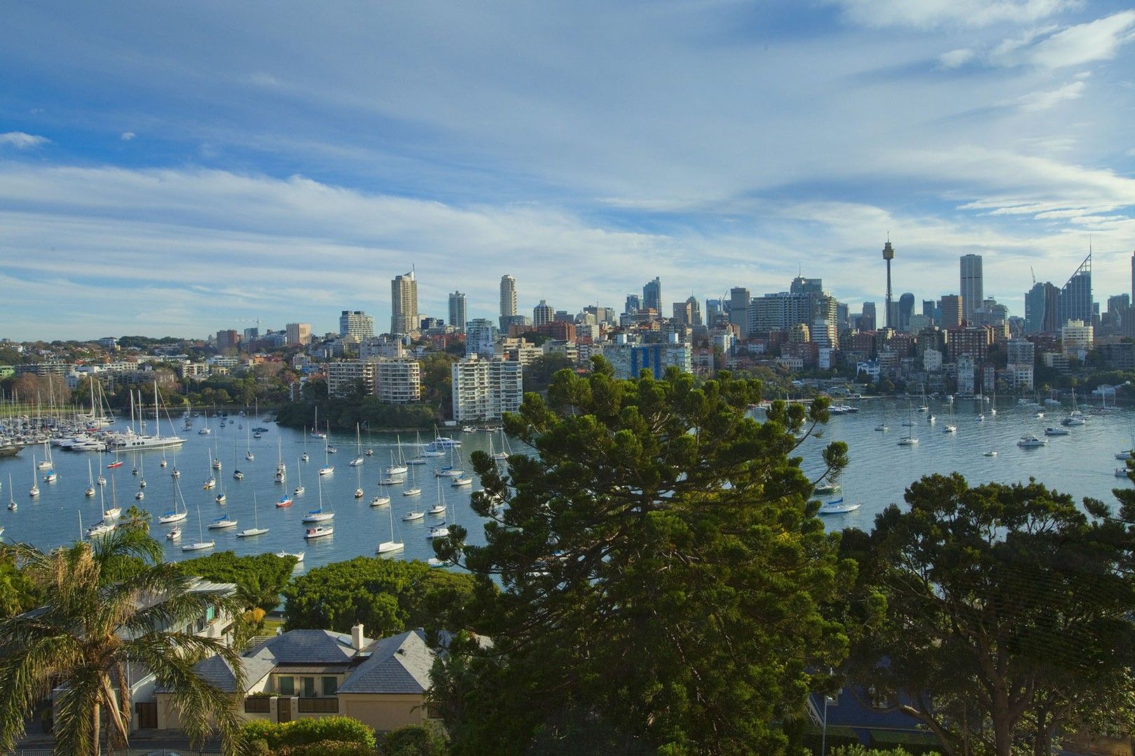 8B/21 Thornton Street, Darling Point NSW 2027 - Apartment For Rent ...