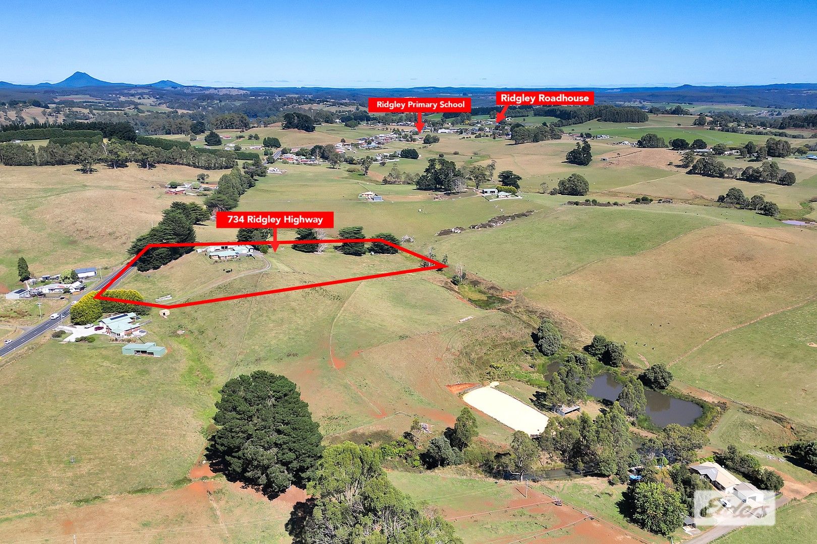 734 Ridgley Highway, Ridgley TAS 7321 - House for Sale | Domain