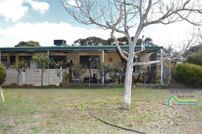 88 Real Estate Properties for Sale in Farrell Flat, SA, 5416 | Domain