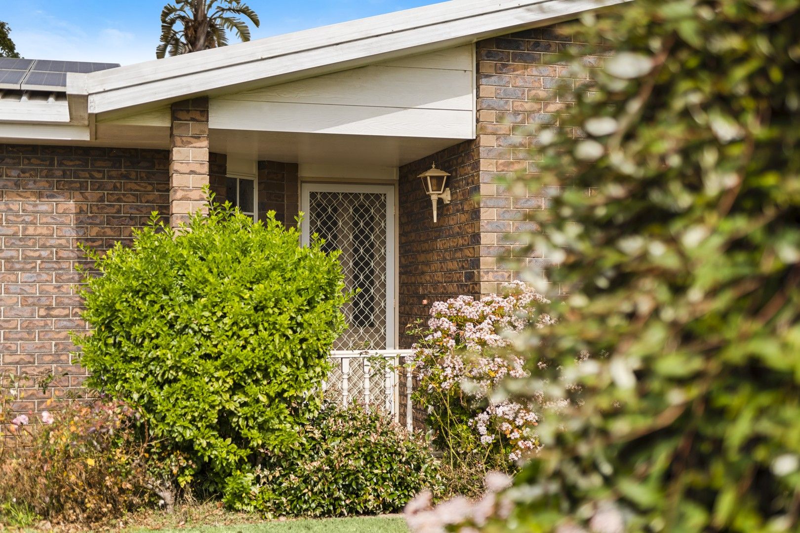 20 Mcivor Street, Kearneys Spring QLD 4350 - House For Rent | Domain