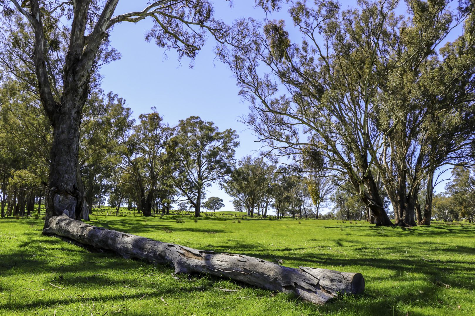 230 Blue Range Road, Bridge Creek | Property History & Address Research ...