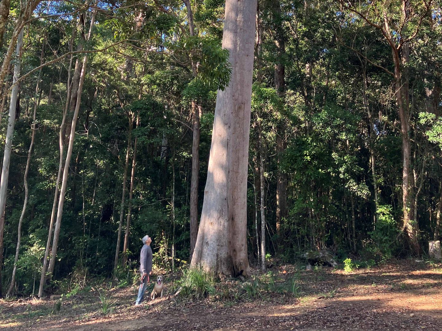 Tarbuck Bay NSW 2428 vacant land for Sale, $1,470,000 - 2019681782 | Domain