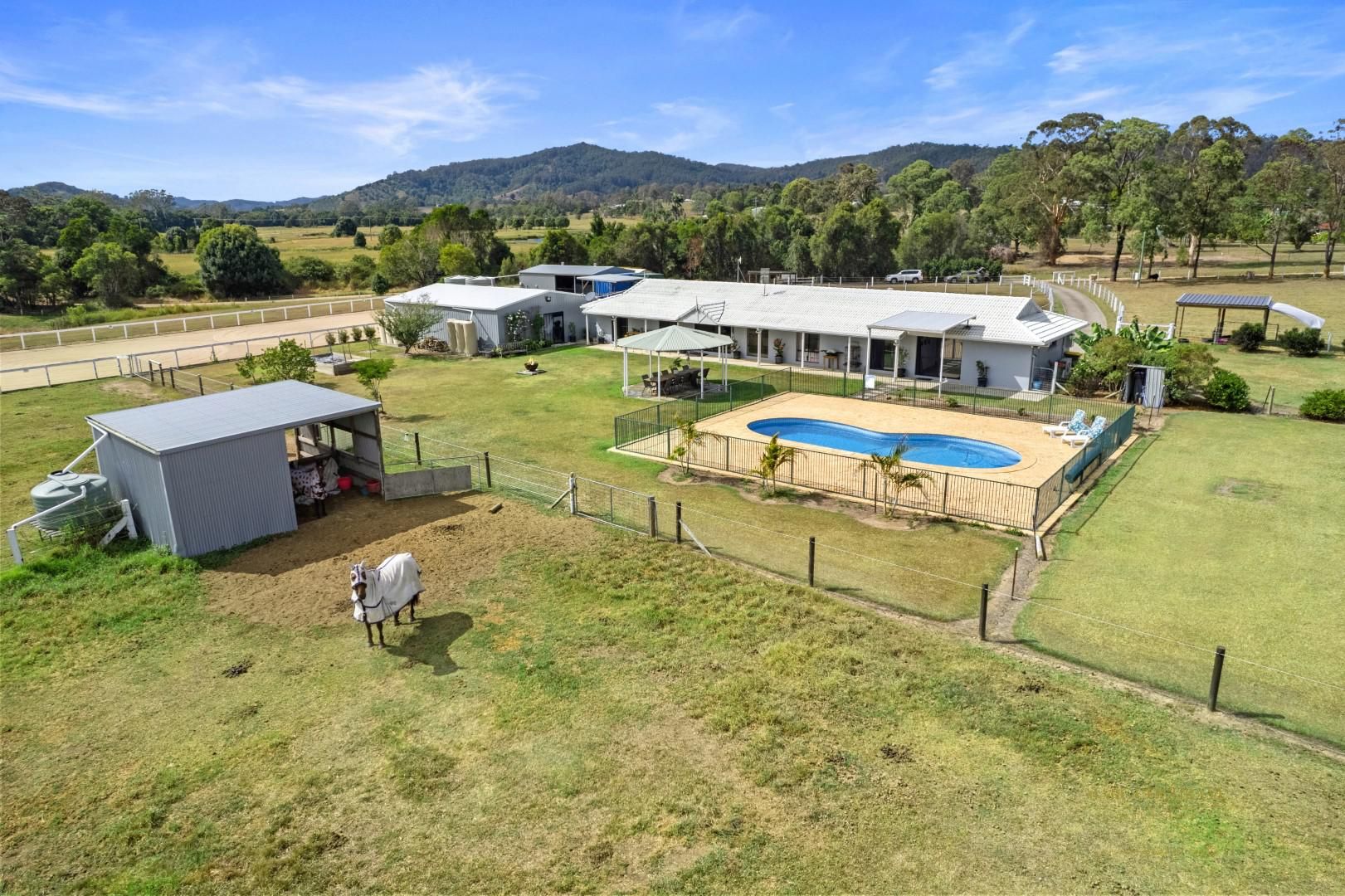 Federal QLD 4568 - 4 beds house for Sale, Offers Over $1,500,000 ...