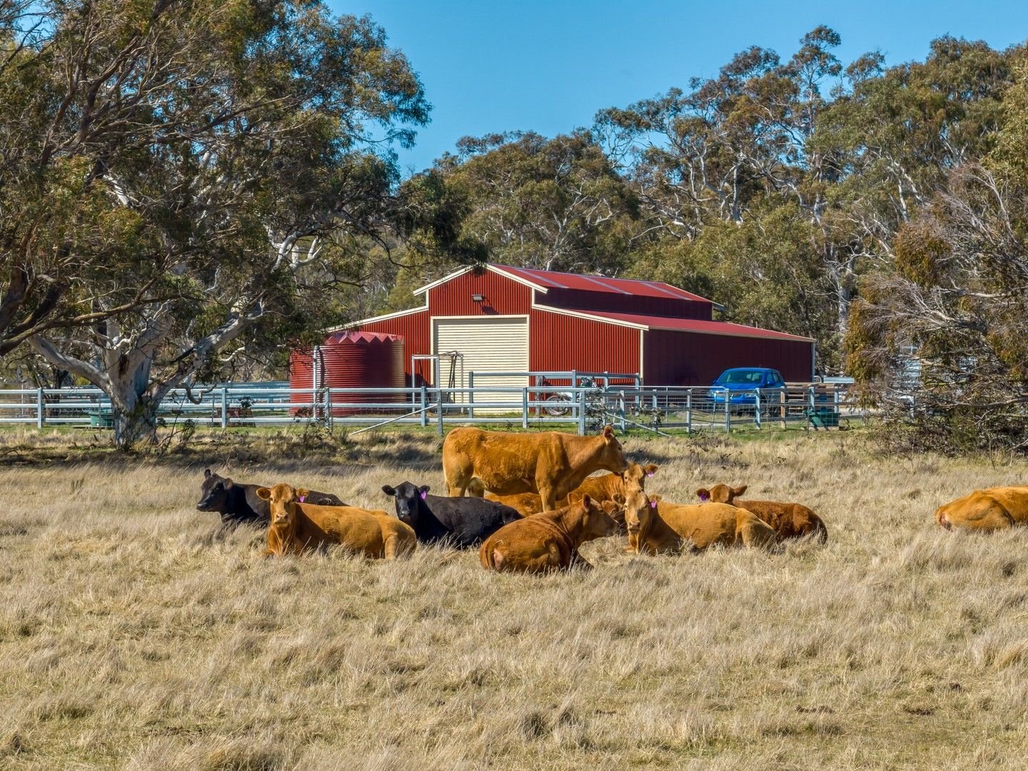 496 Mulloon Road, Via Bungendore, Mulloon NSW 2622 - Rural Lifestyle ...