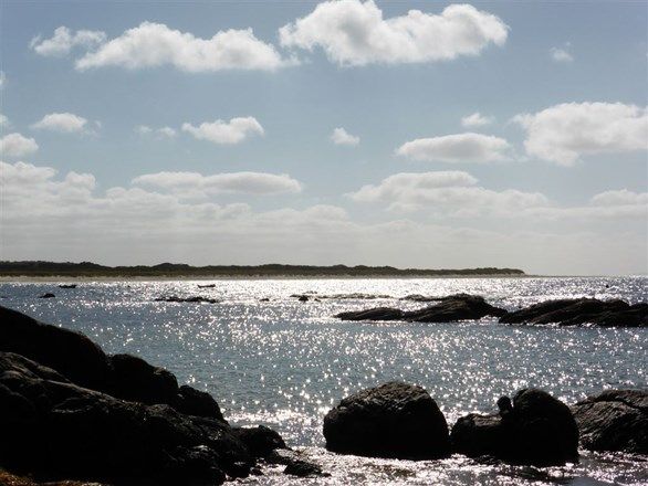 33 Real Estate Properties for Sale in Windy Harbour, WA, 6262 | Domain