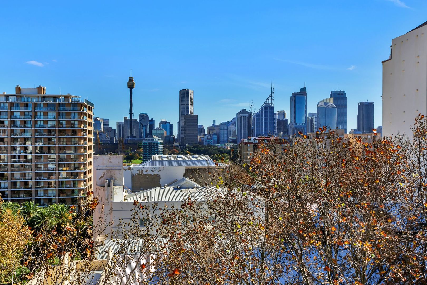 703/50-58 Macleay Street, Potts Point NSW 2011 - Apartment For Rent ...