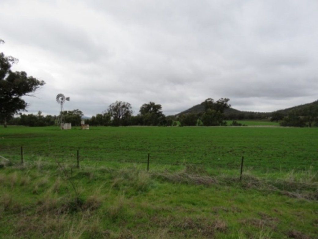 1013 Barnbrook Road, Werris Creek | Property History & Address Research ...