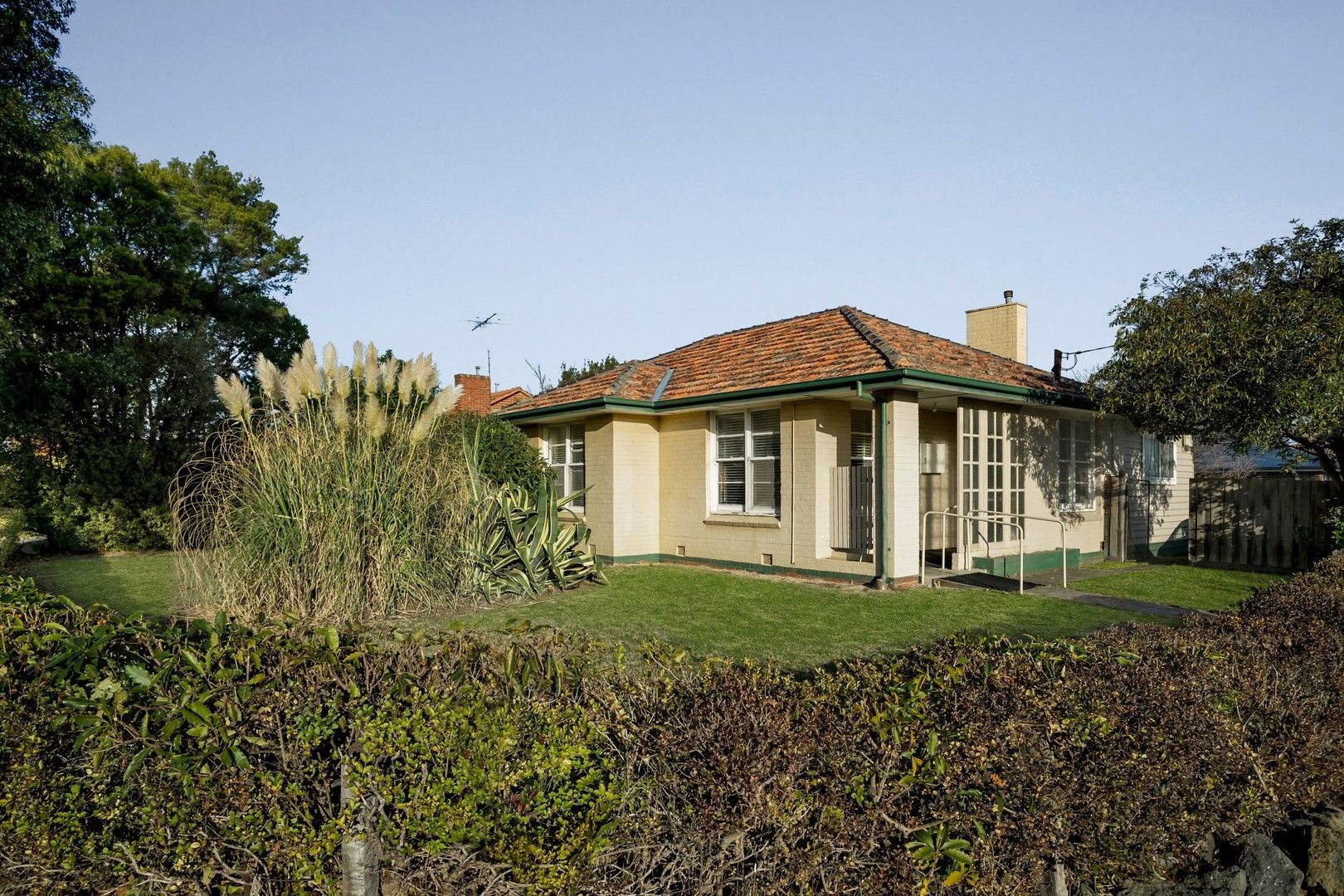 38 Plunkett Street, Bellfield VIC 3081 - House For Rent | Domain