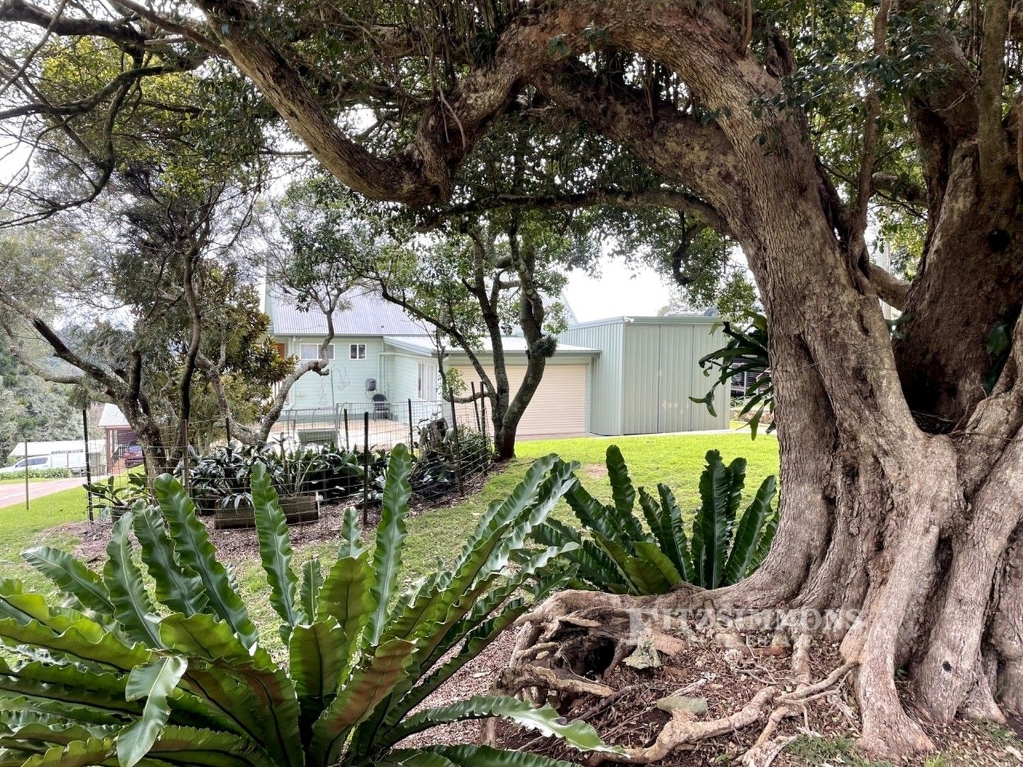 3374 Bunya Mountains Road, Bunya Mountains QLD 4405 | Domain