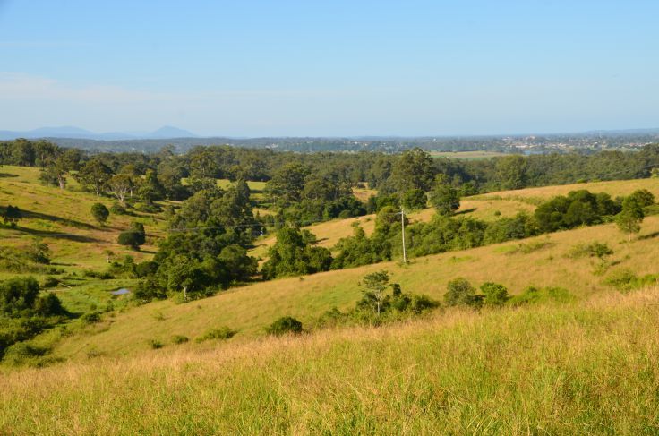 99 Alpine Drive, Tinonee | Property History & Address Research | Domain