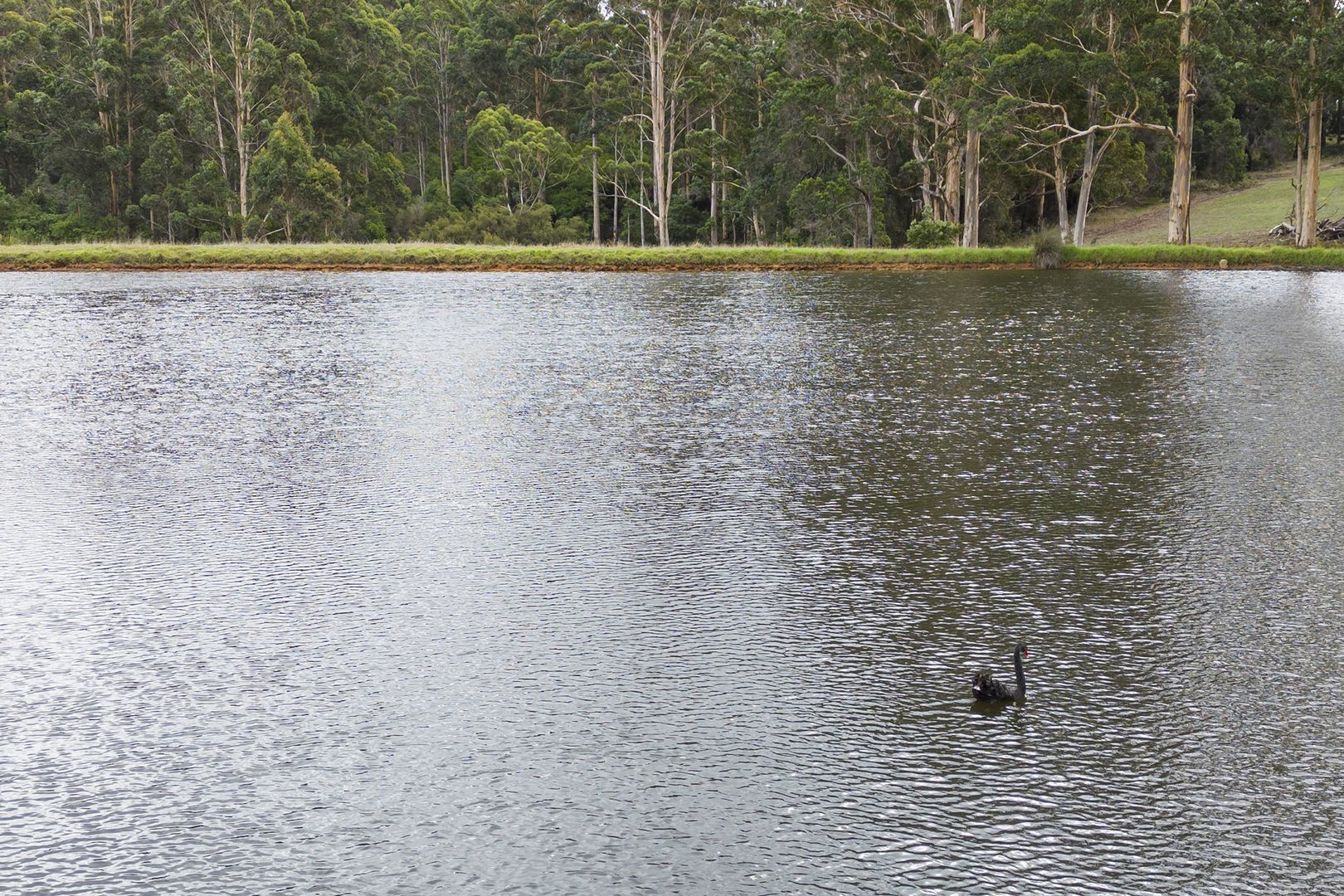 1806 Graphite Road, Glenoran WA 6258 - Farm for Sale | Domain