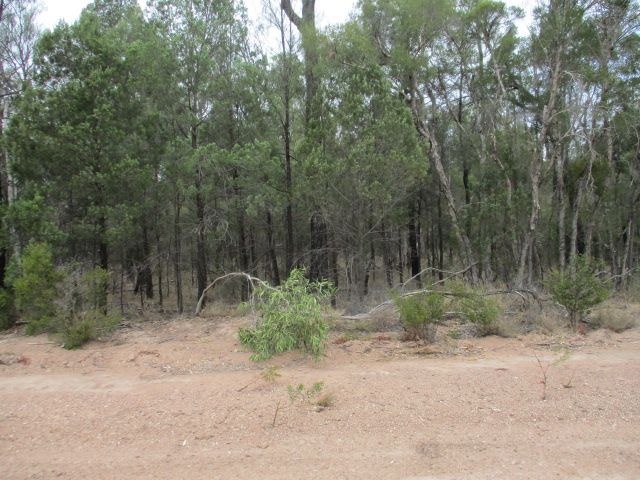 287 Happy Lane, Tara QLD 4421 - House for Sale | Domain