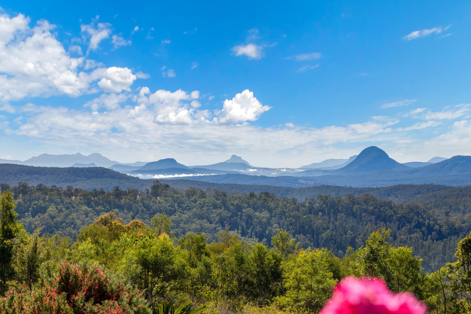 4356 Paddys flat road, Tooloom NSW 2475 - Specialist Farm for Sale