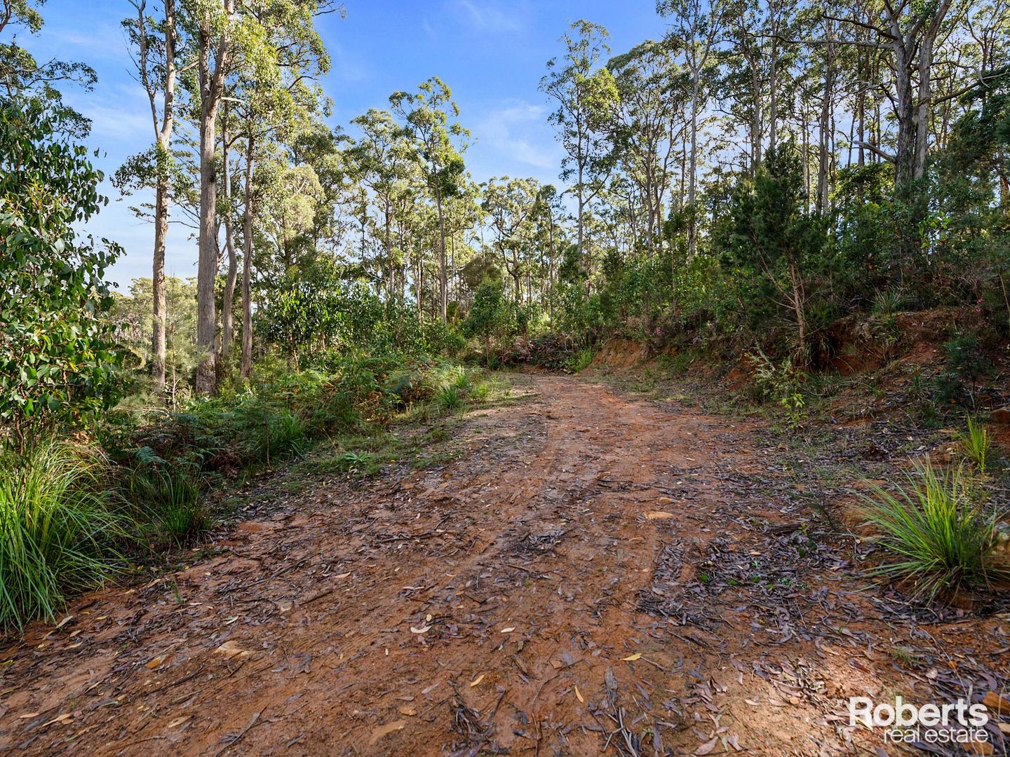 Lot 1 Wesley Vale Road, Wesley Vale TAS 7307 | Domain