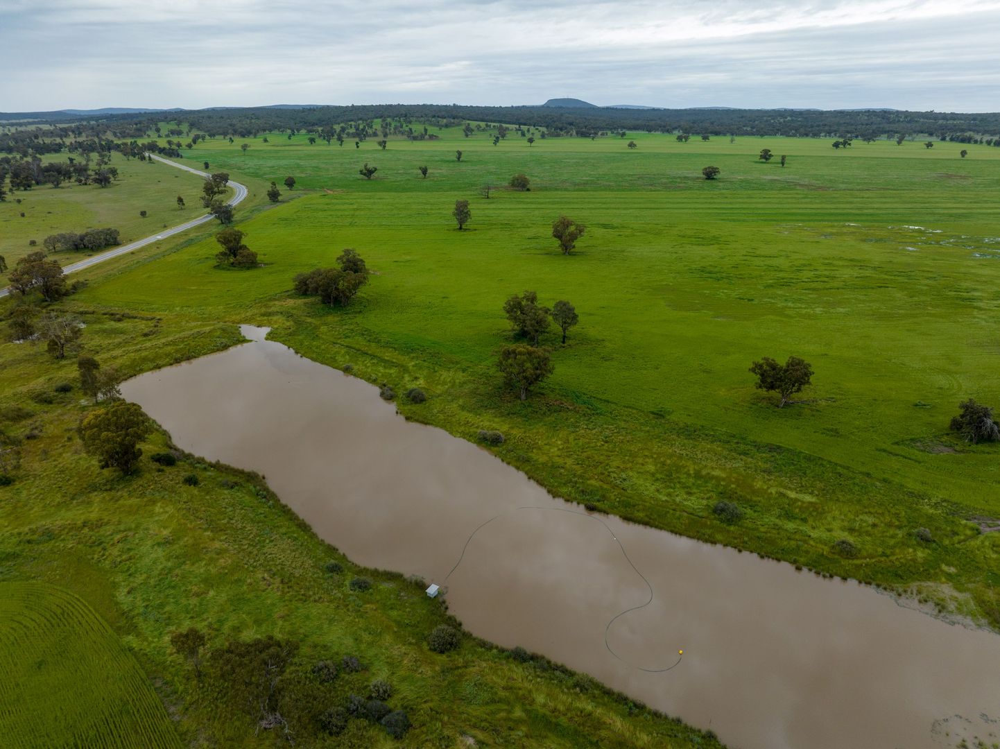 25 Kamarah Road, Narrandera NSW 2700 - House for Sale | Domain