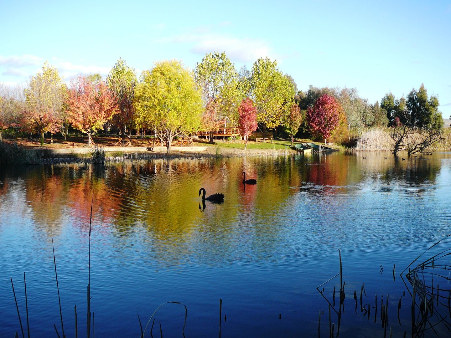 1143 Nanima Road, Nanima | Property History & Address Research | Domain