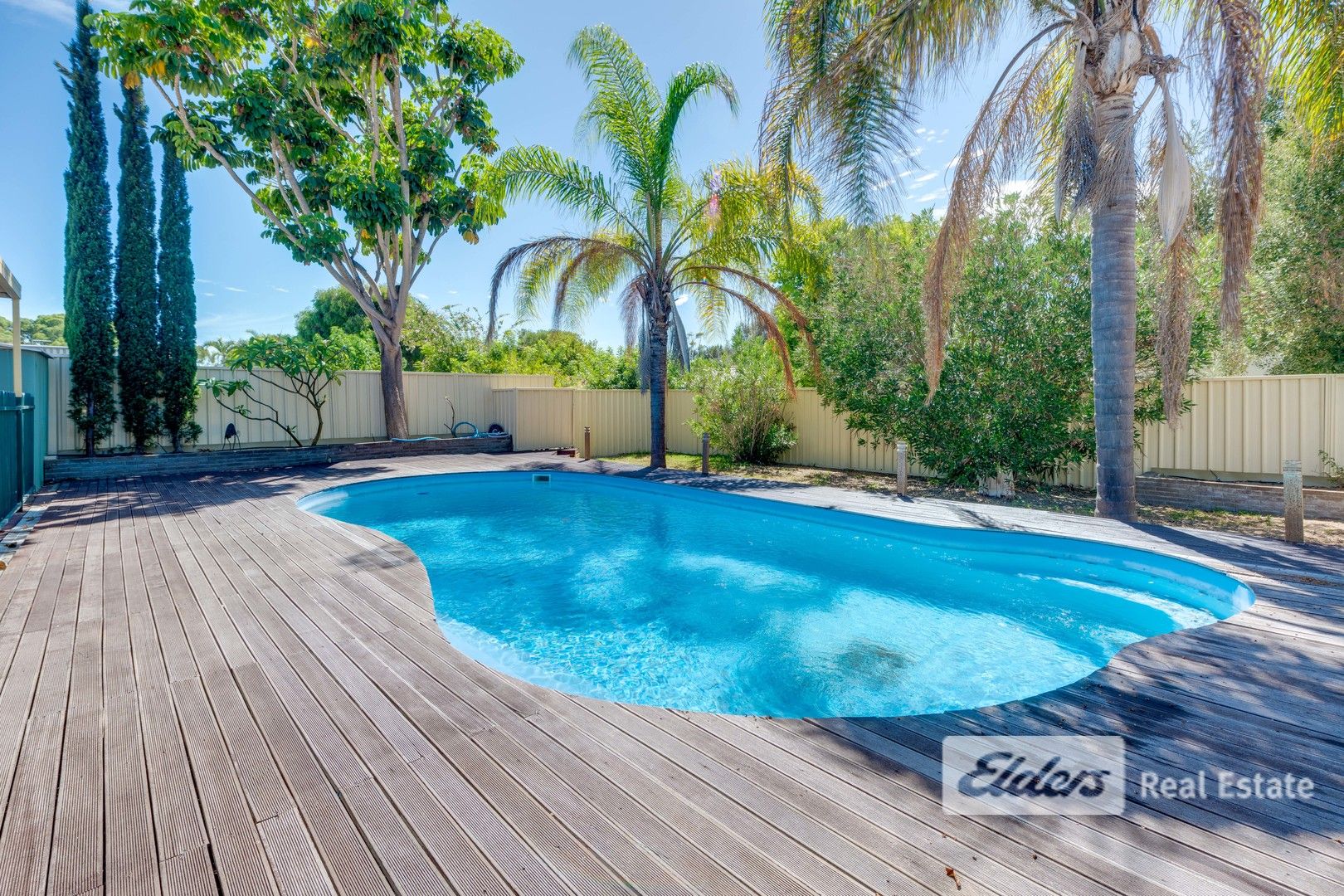 Rockingham WA 6168 - 3 beds house for Rent, $560 pw - 16960687 | Domain