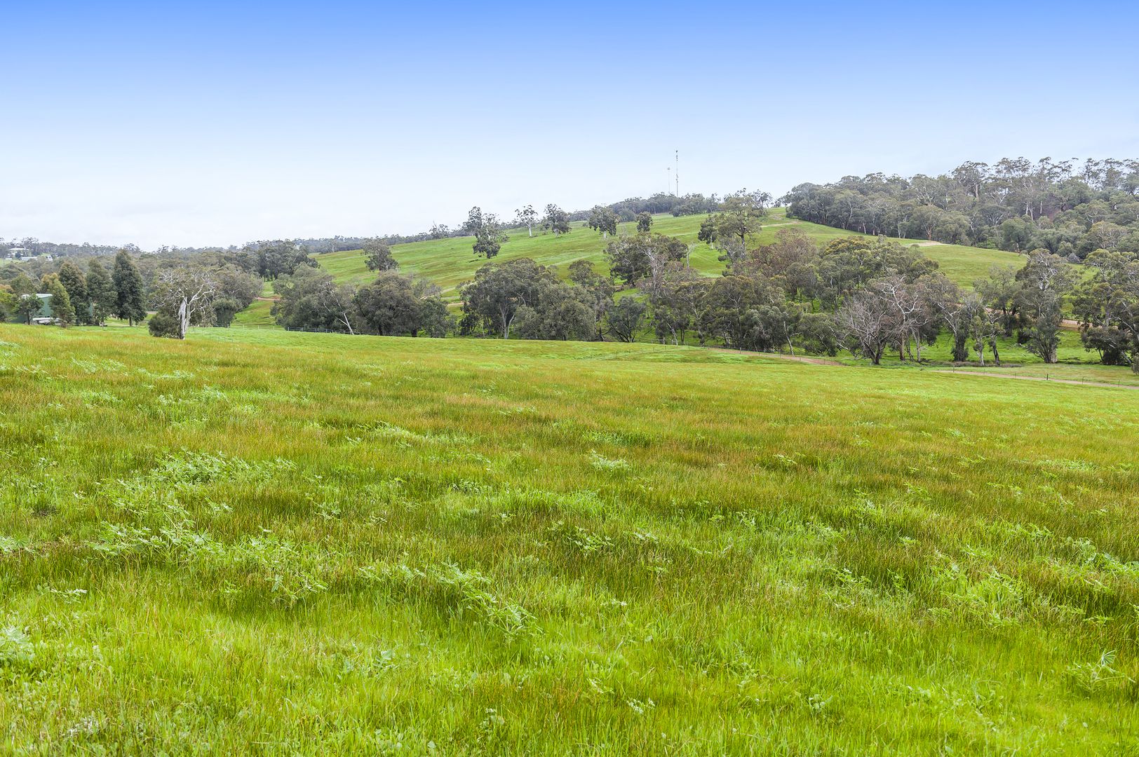 194 Maine-Anjou Drive, Lower Chittering WA 6084 | Domain