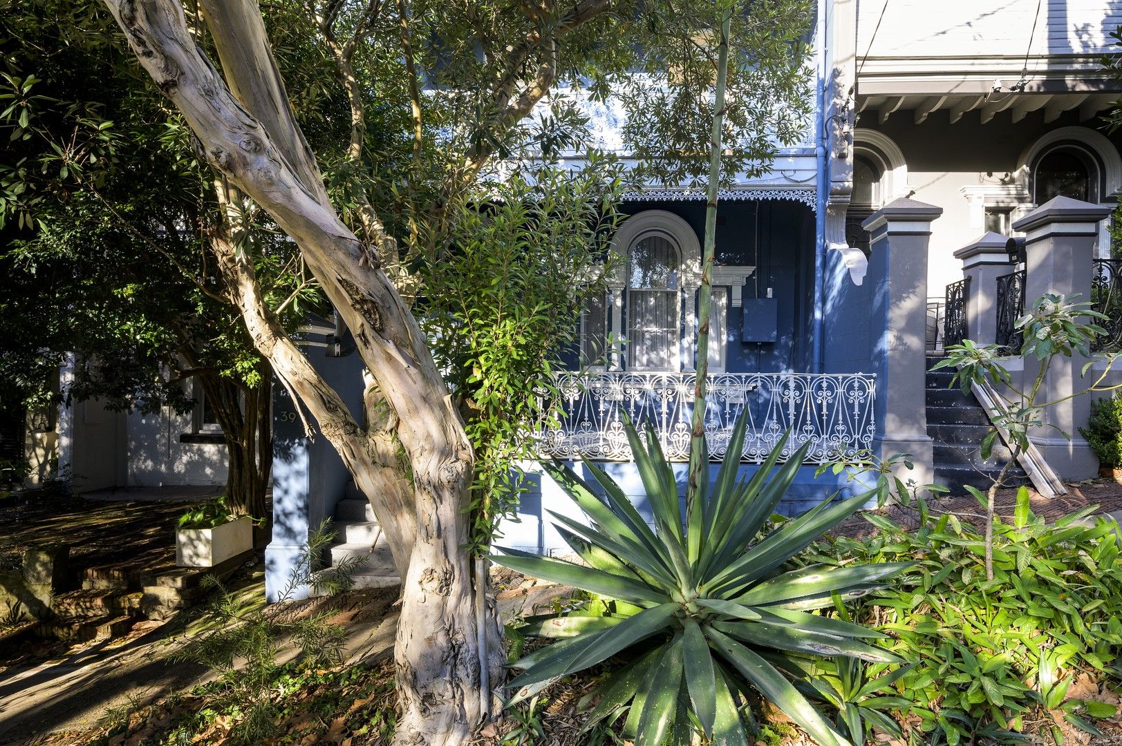 39 Perkins Street, Newcastle NSW 2300 - Terrace For Rent | Domain