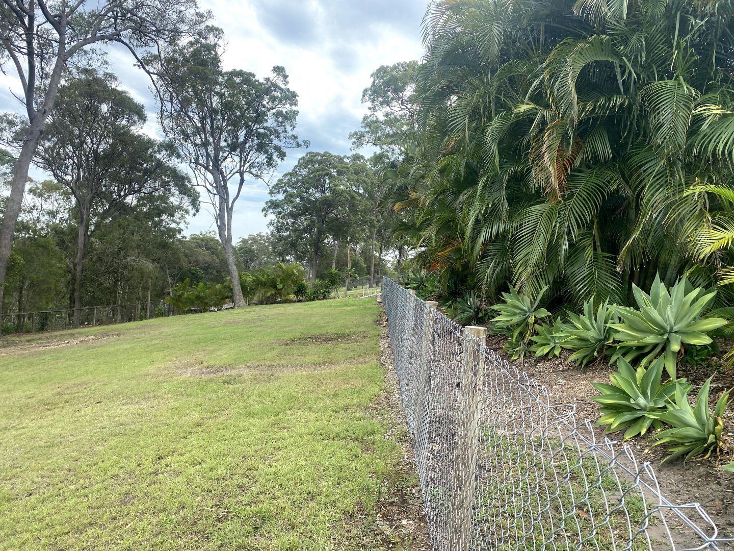 20 Longview Drive, River Heads QLD 4655 | Domain