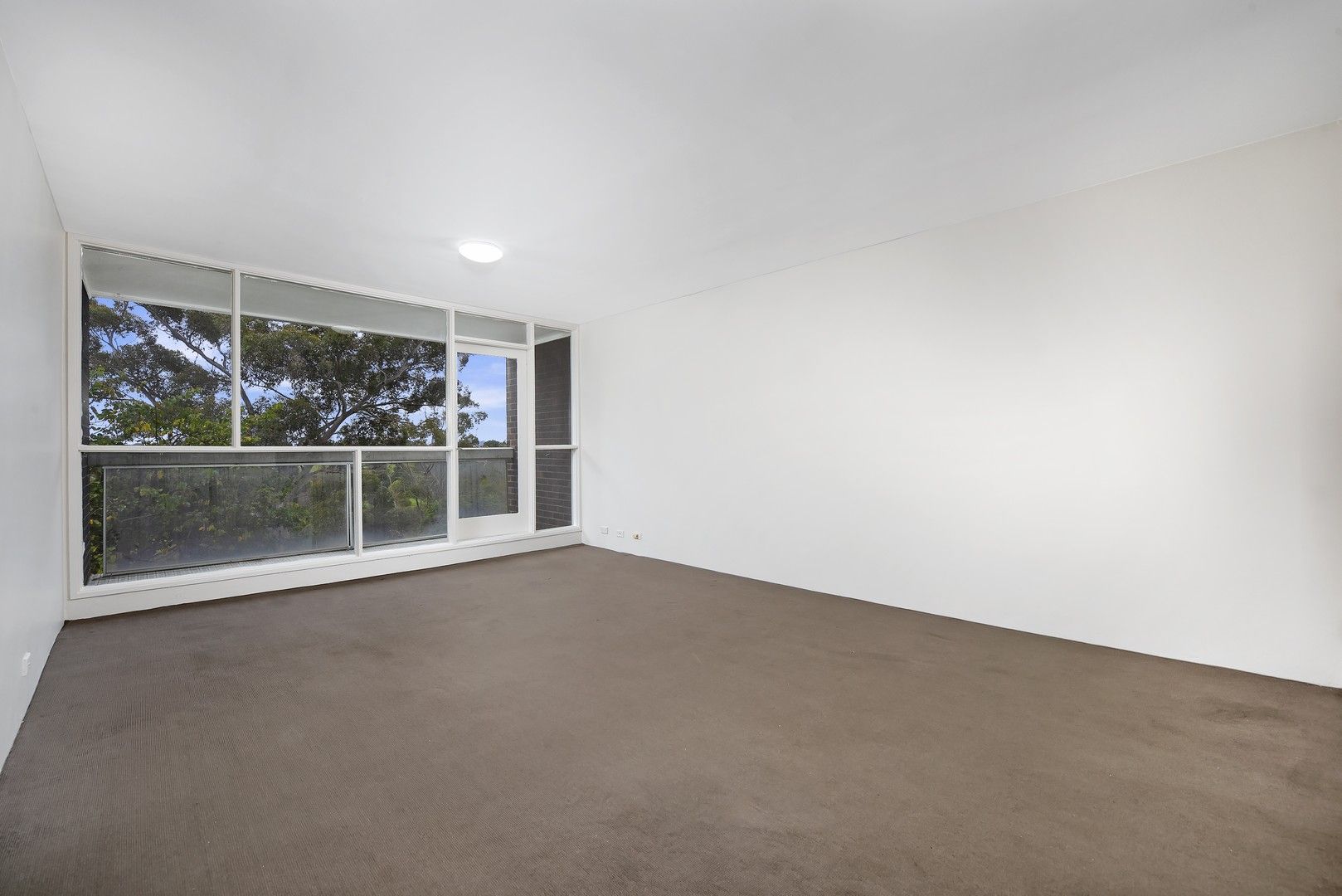 1a/83 Homer Street, Earlwood NSW 2206 - Apartment For Rent - $700 | Domain