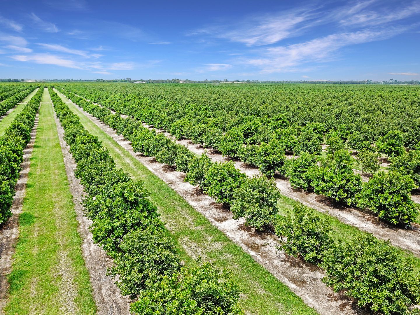 Langbeckers & Goodwood Roads, Alloway QLD 4670 - House for Sale