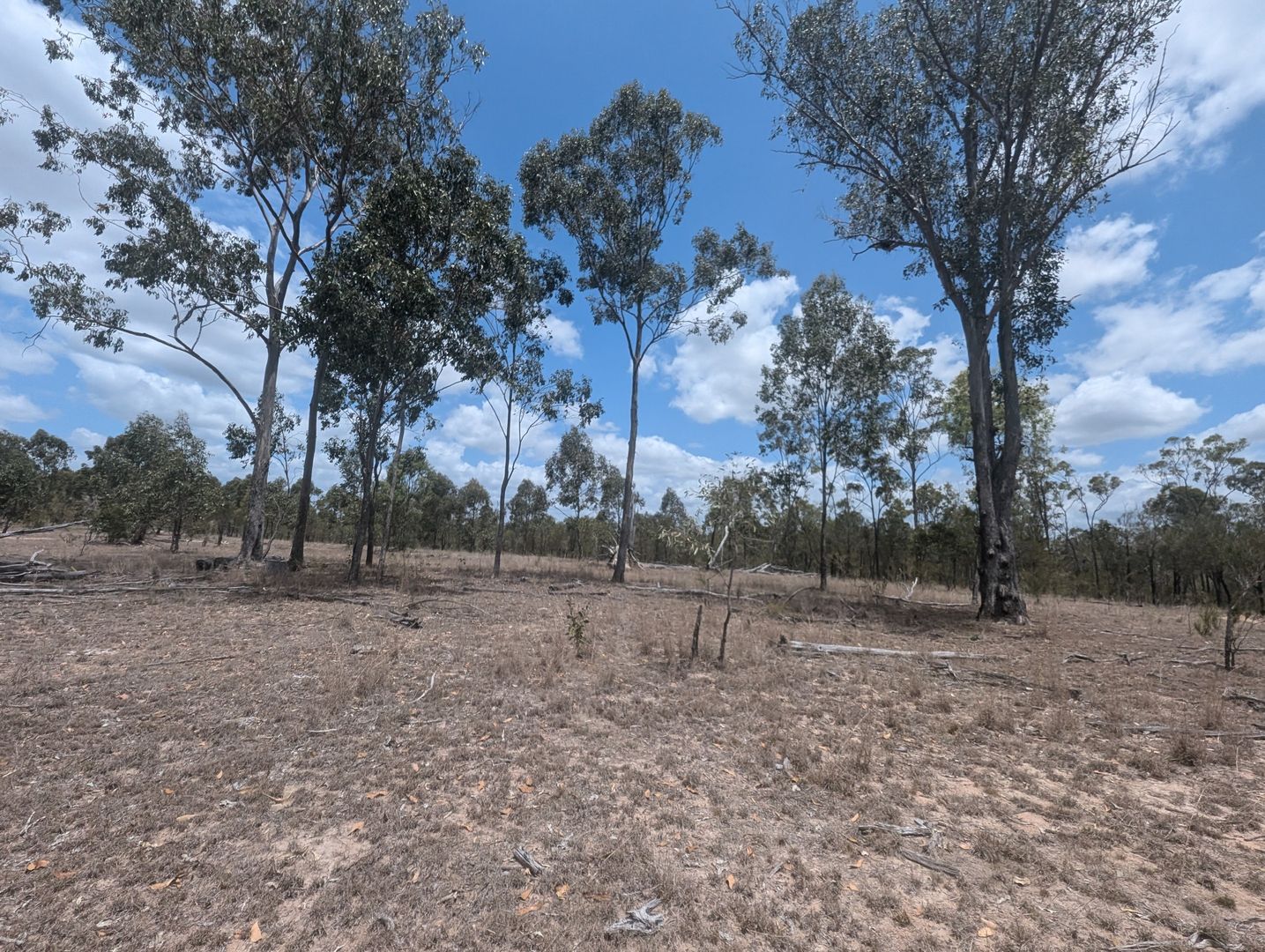 Lot 123 Beak Road, Bajool QLD 4699 | Domain