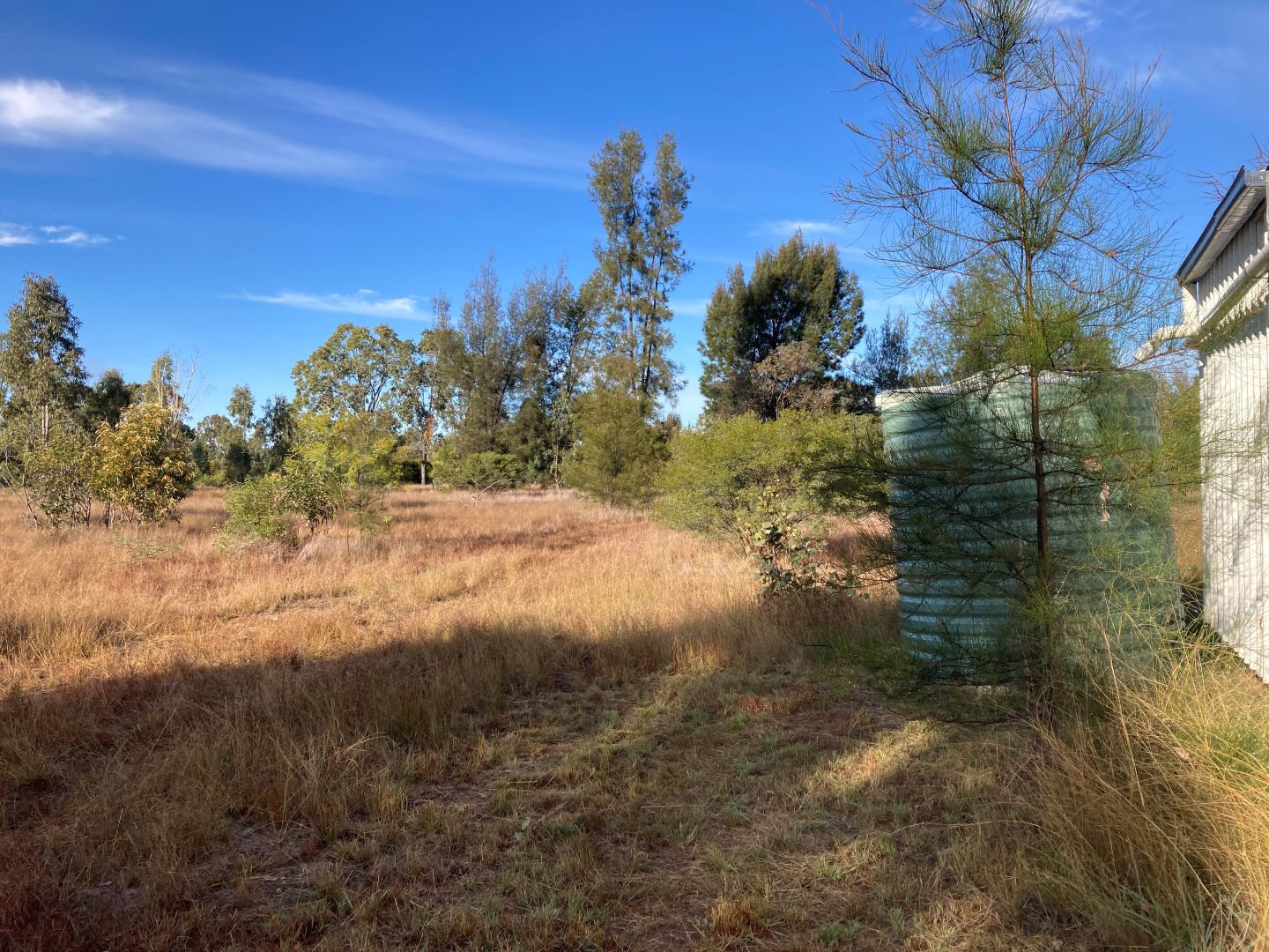 Tara QLD 4421 - House for Sale | Domain