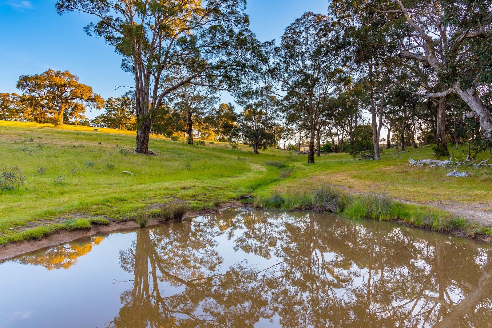 1 Mactiers Lane, Metcalfe VIC 3448 - Vacant Land for Sale | Domain