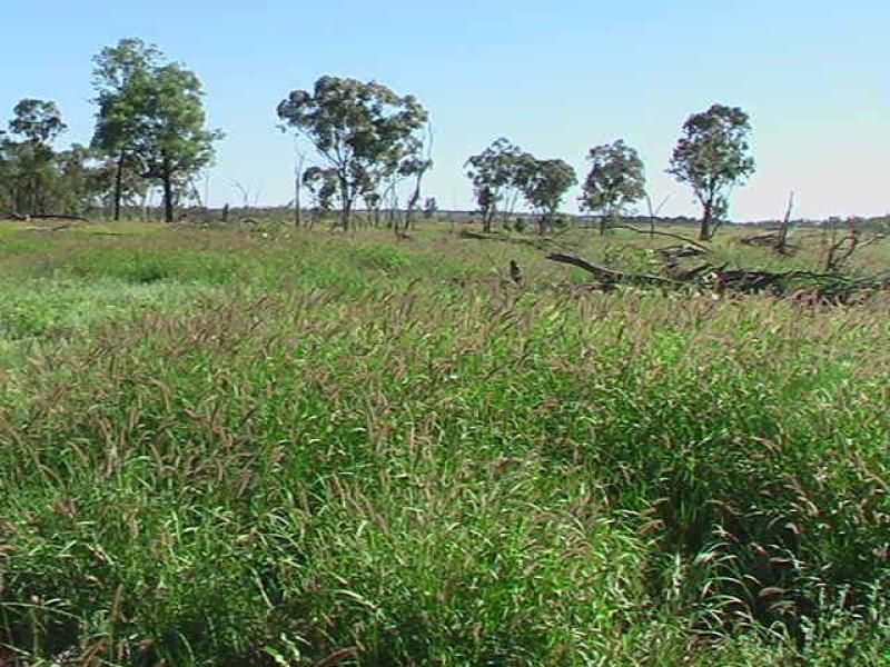 4169 Foyleview Road, Ballaroo | Property History & Address Research ...