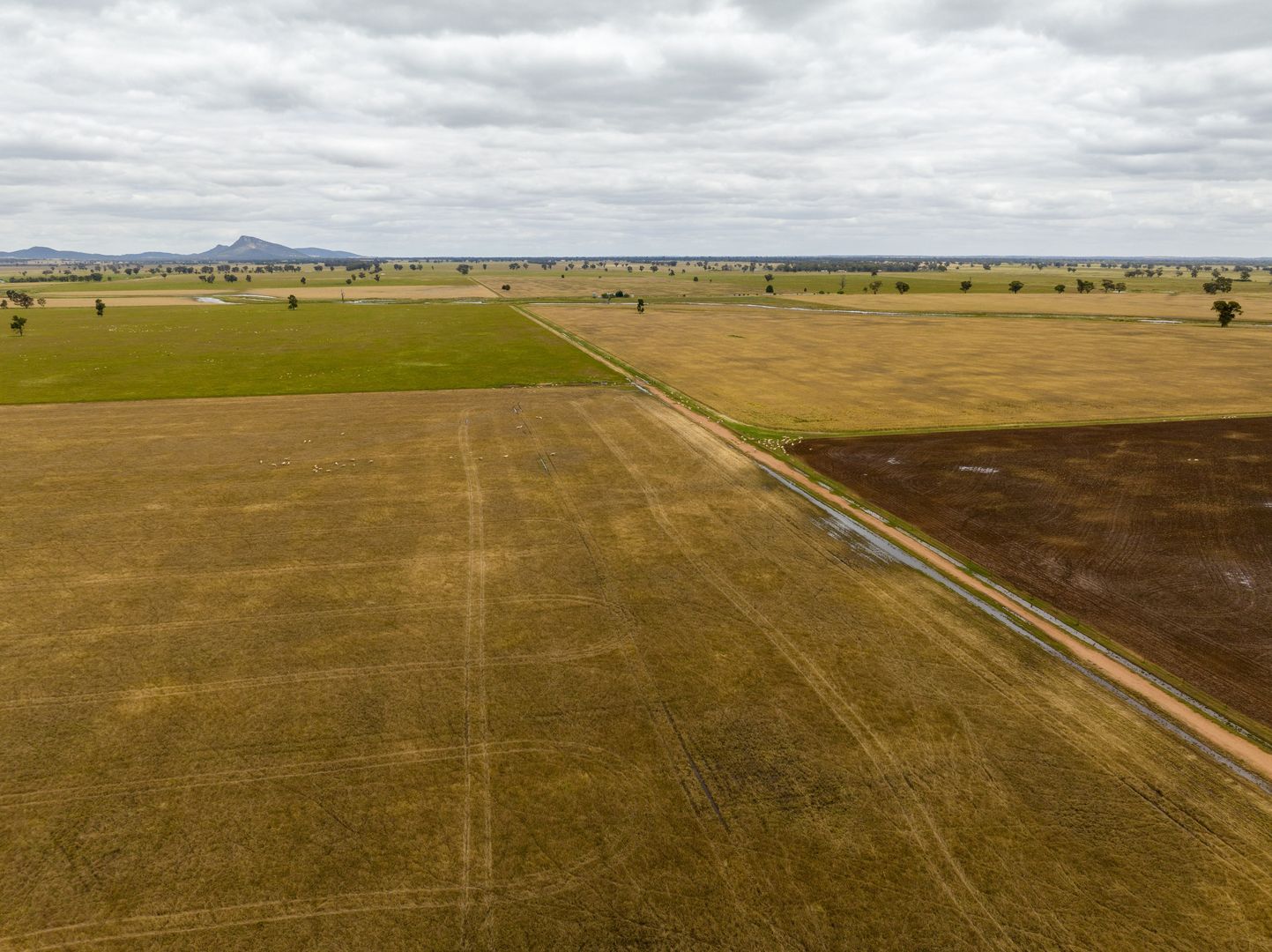 108 Andrews Road, Collingullie via, Wagga Wagga NSW 2650 - Specialist ...