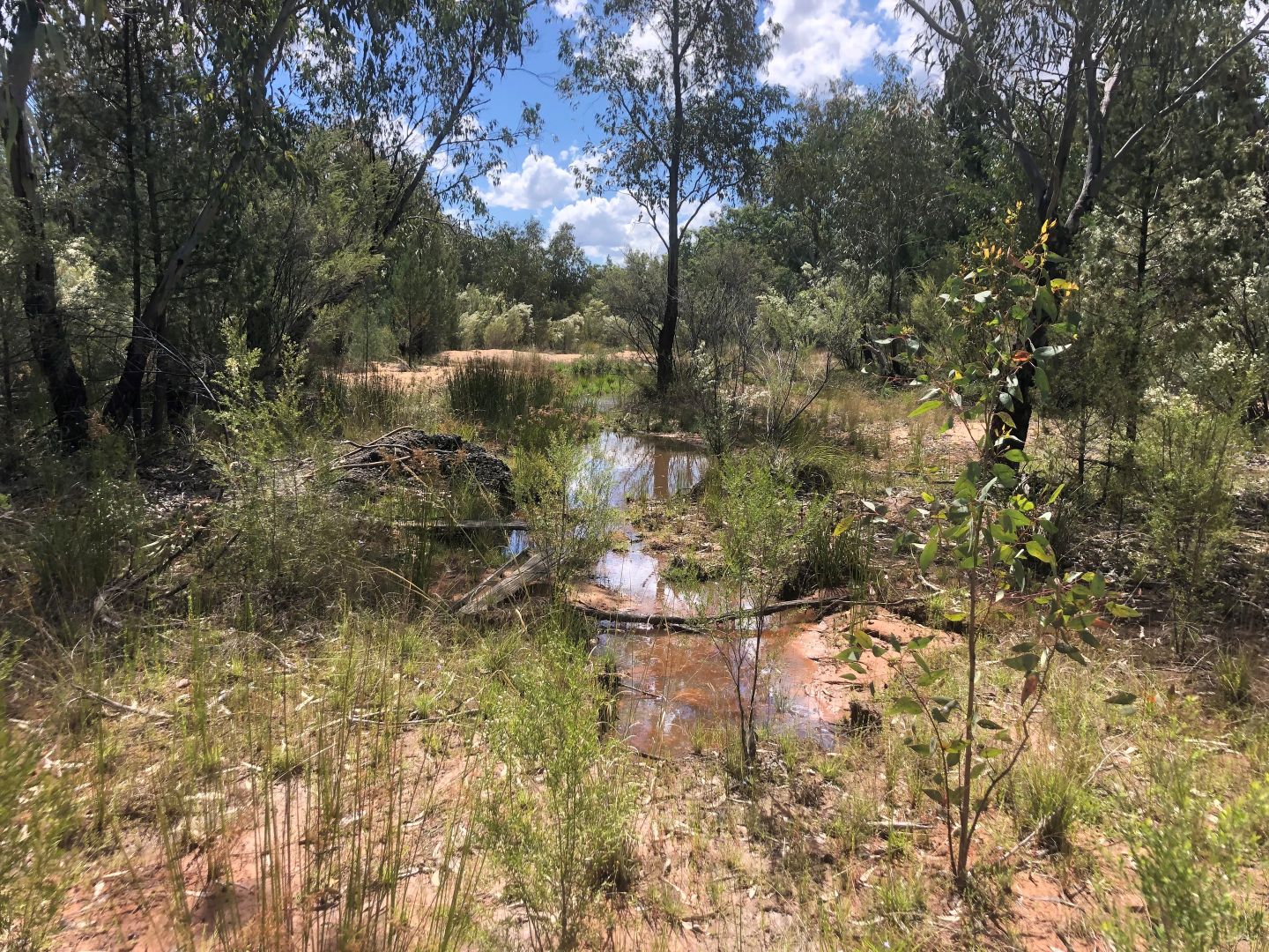 2147 Gwabegar Road, Cuttabri | Property History & Address Research | Domain