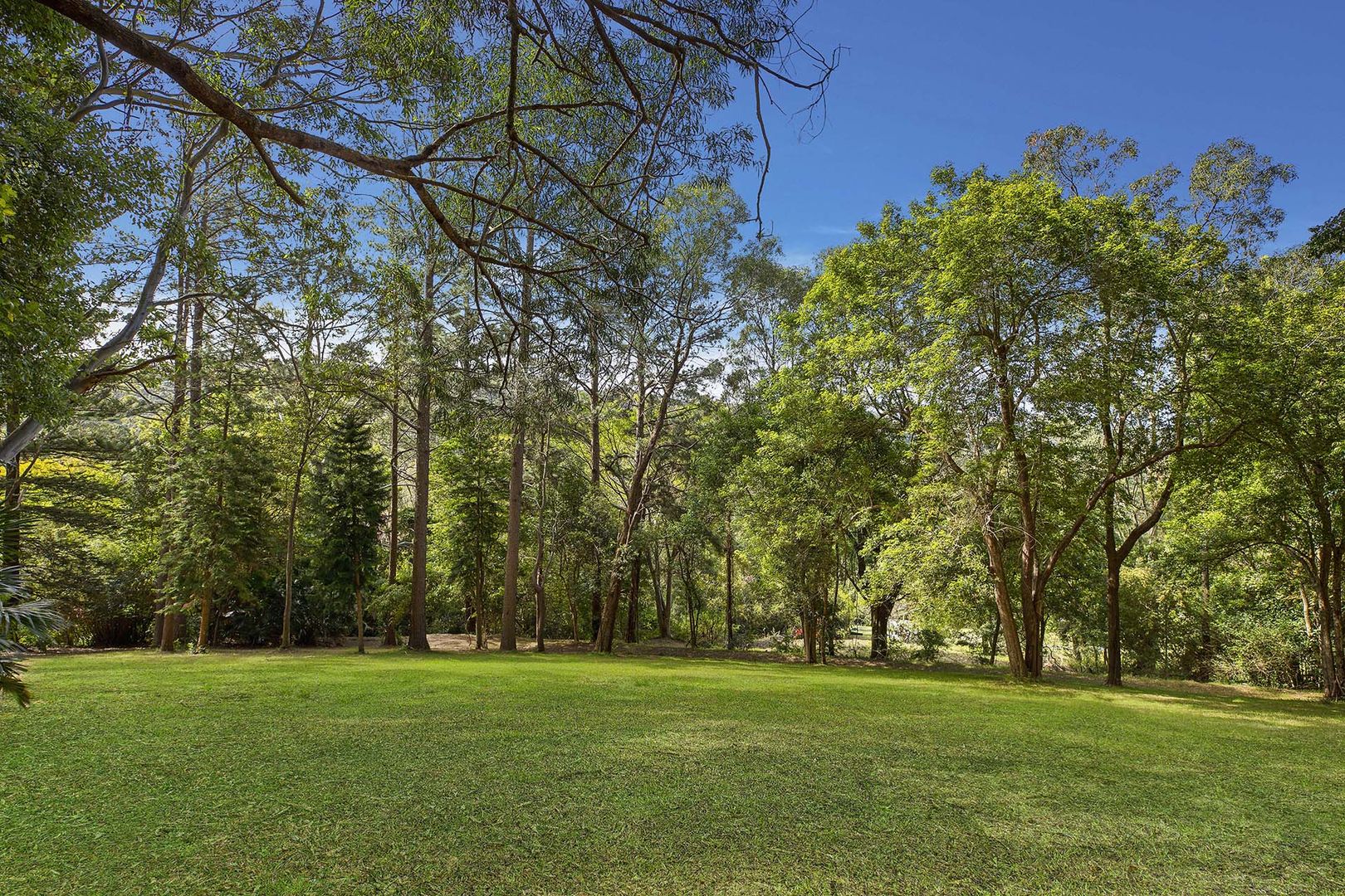 220 Matcham Road, Matcham NSW 2250 - Vacant Land for Sale | Domain