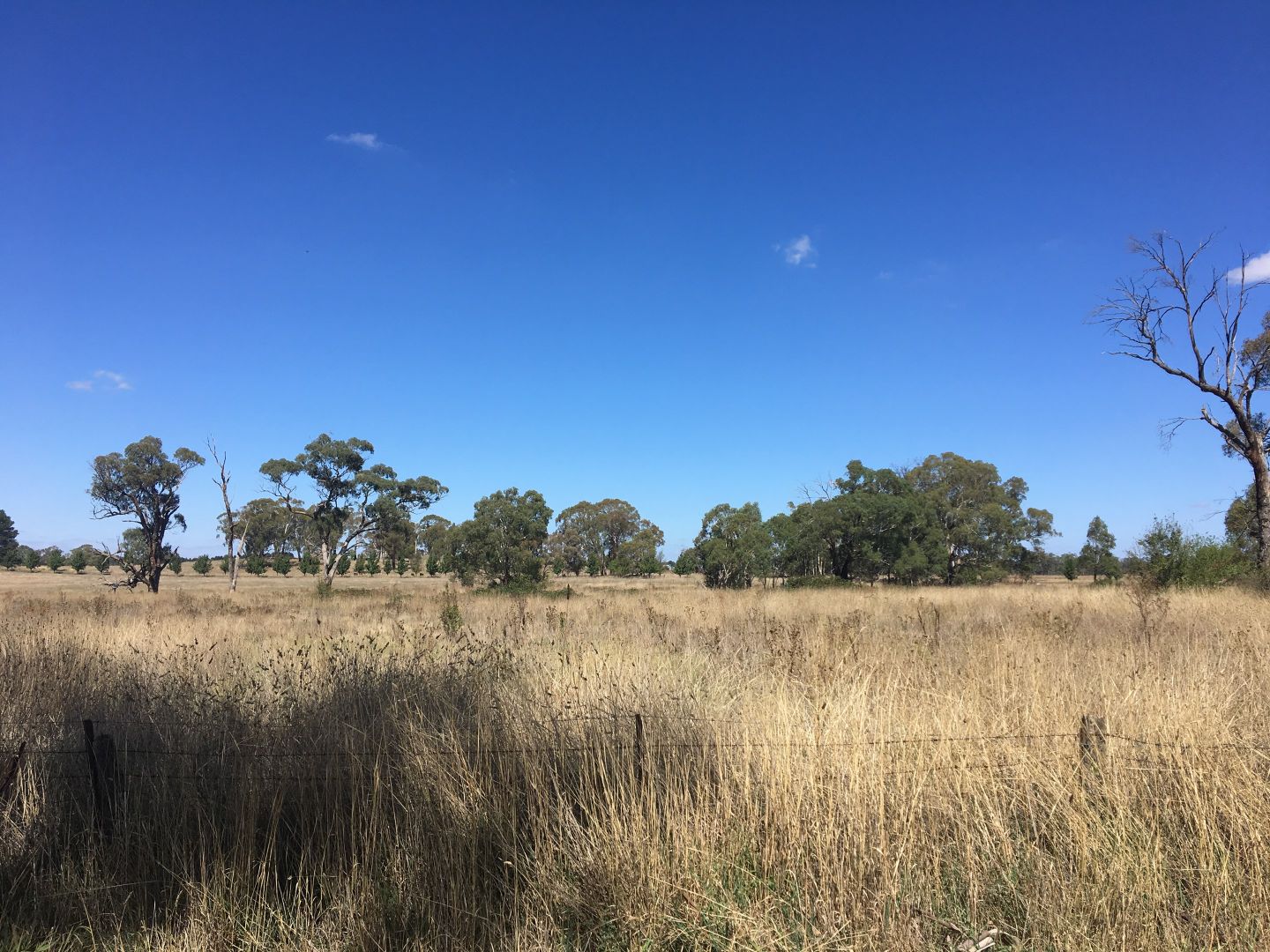 467 Forest Road, Spring Terrace | Property History & Address Research ...