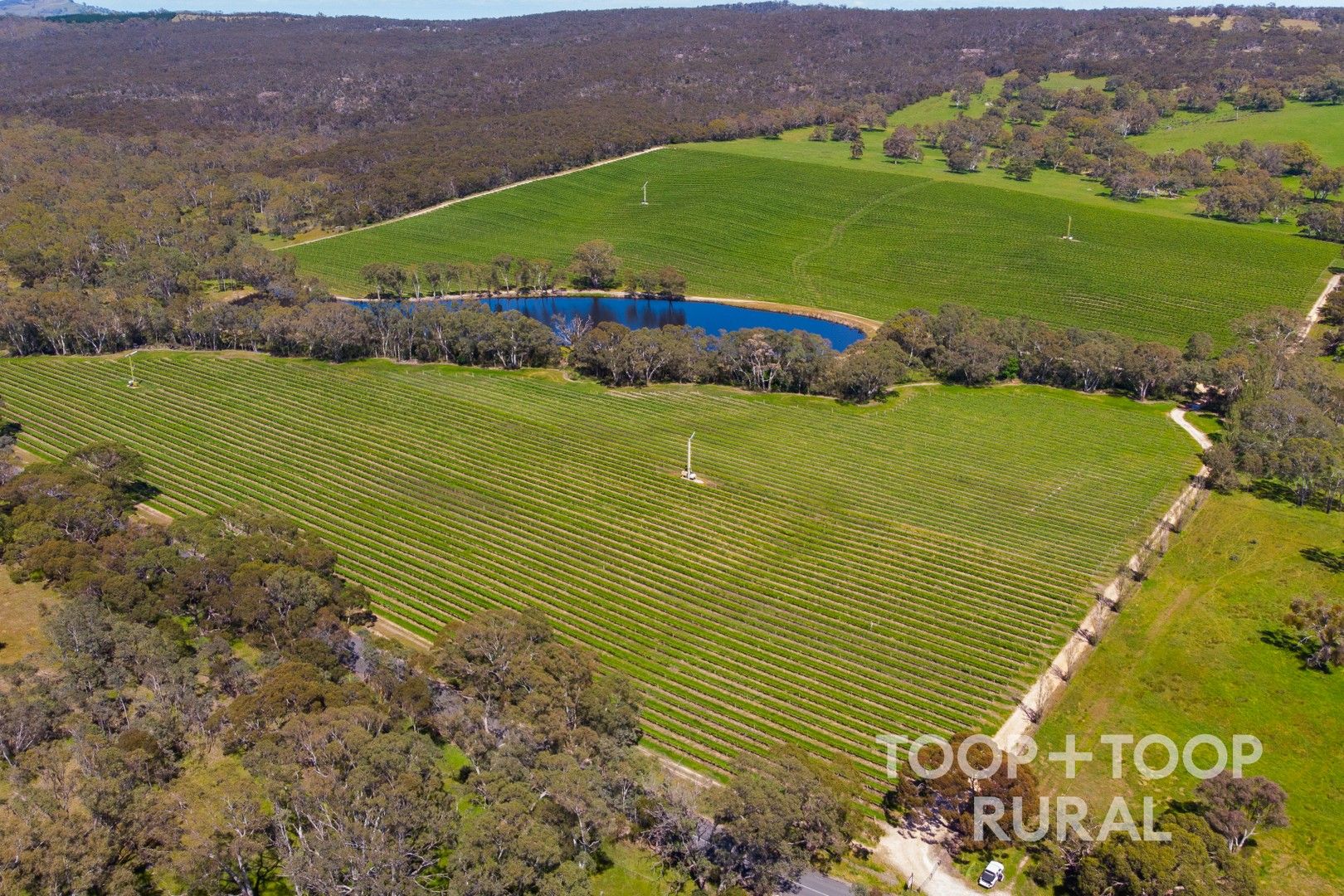 727 Tanunda Creek Road, Flaxman Valley SA 5235 - House for Sale