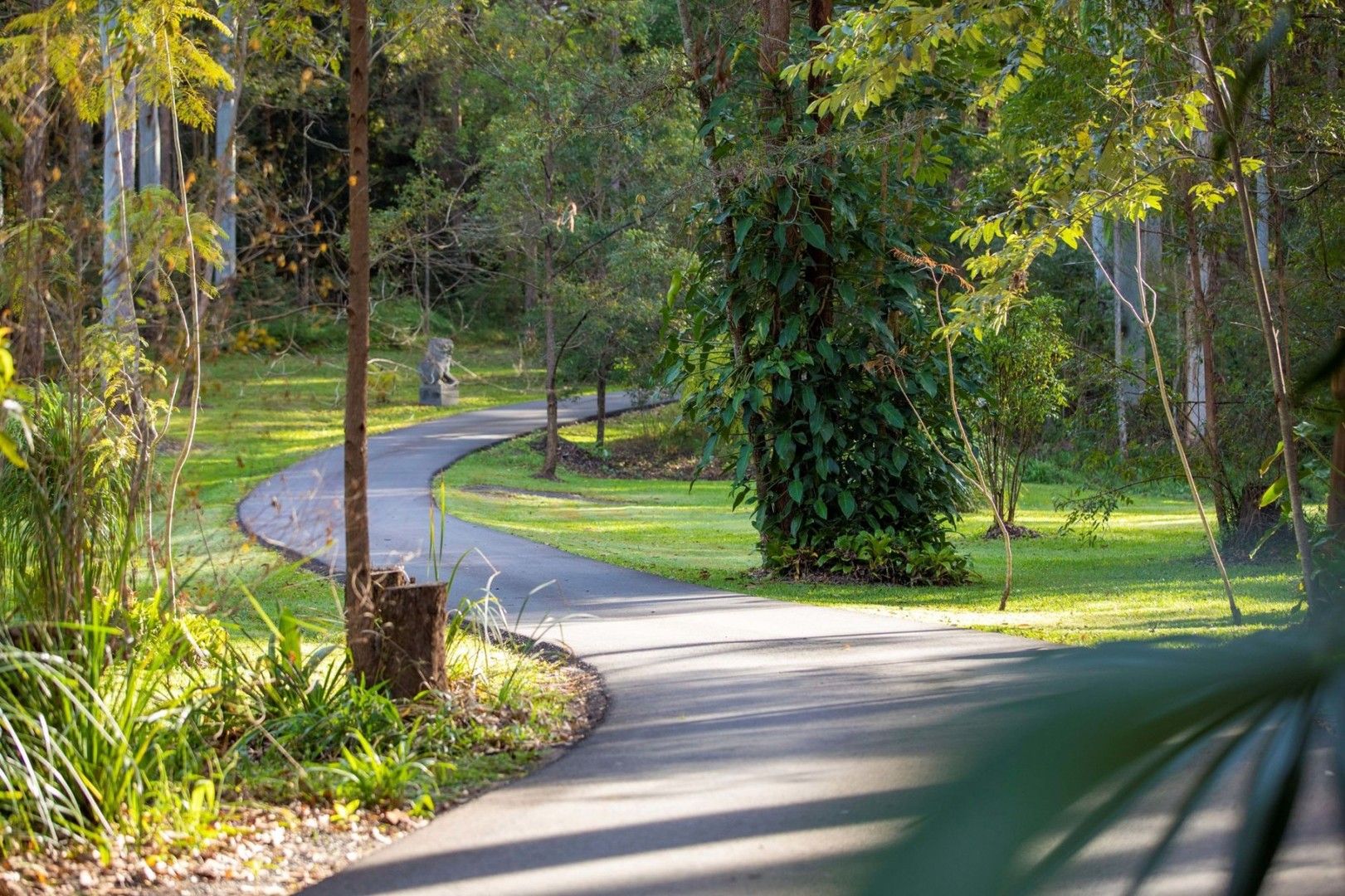 100 Radbourne Road, Tanawha QLD 4556 - House for Sale | Domain